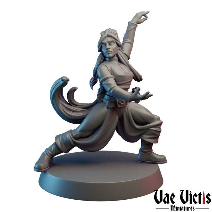 Elementalist Fantasy Miniature DnD Pathfinder Tabletop RPG Vae Victis ...