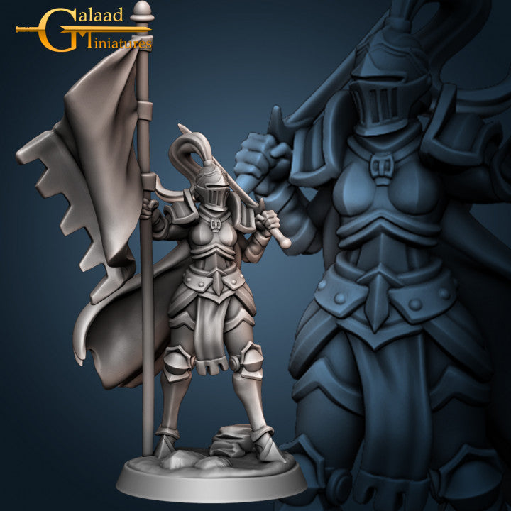 Female Knight Banner Fantasy Miniature DnD 5e Wargame Pathfinder TTRPG ...